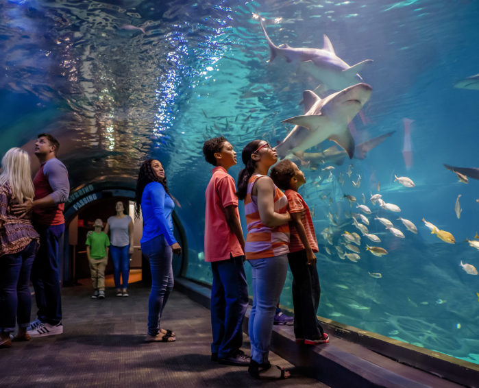 30+ Things to Do Along Philadelphia's Delaware River Waterfront | Visit ...