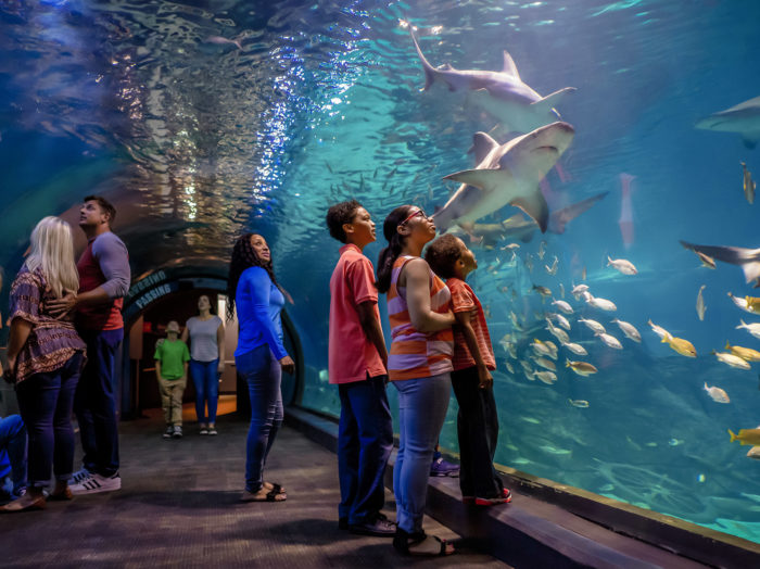A Guide to the Delaware River Waterfront, Philly’s Riverside Retreat ...