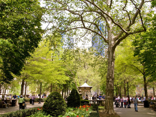 Rittenhouse Row Spring Festival 2025: A Block-by-Block Guide | Visit ...
