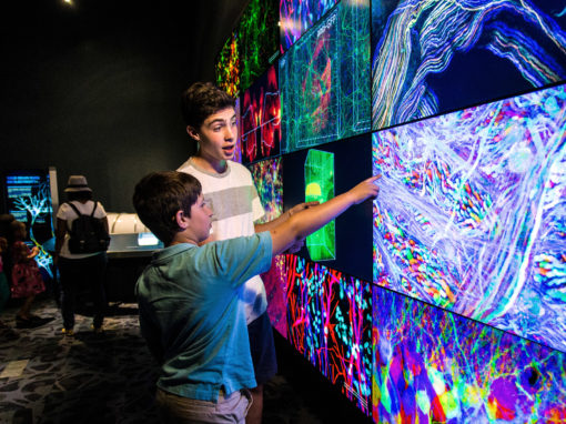 A Guide to The Art of the Brick at The Franklin Institute | Visit ...