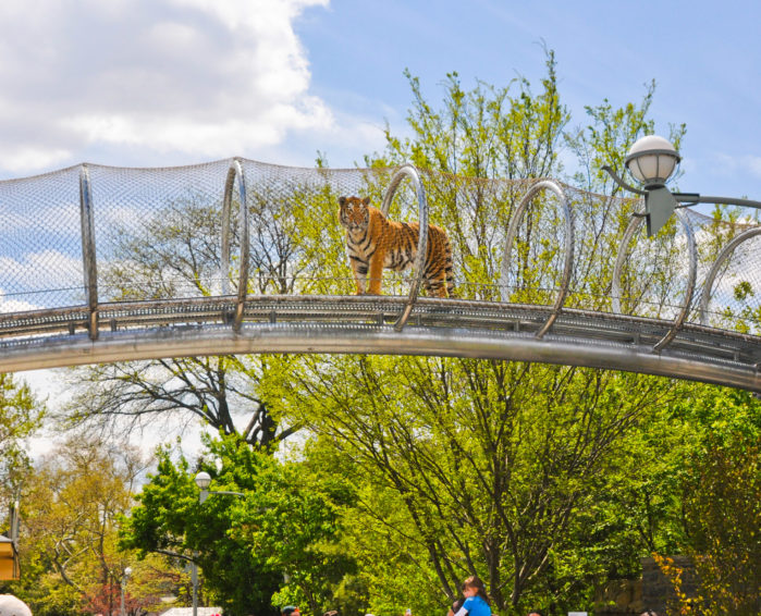 Philadelphia Zoo | Visit Philadelphia