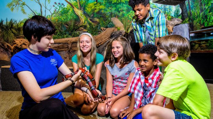 A Guide to The Academy of Natural Sciences | Visit Philadelphia
