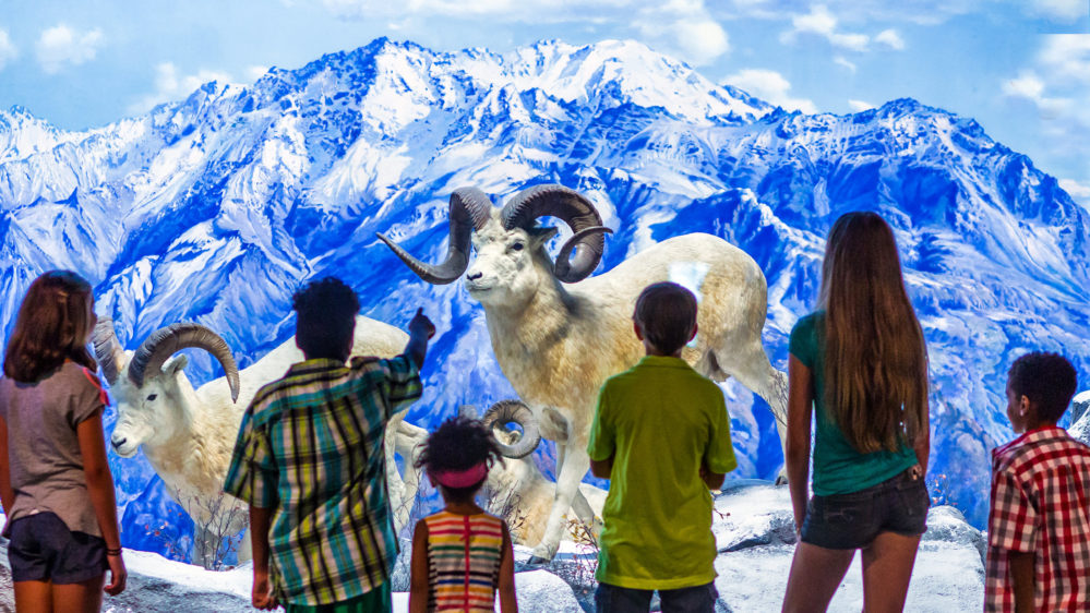 A Guide to The Academy of Natural Sciences | Visit Philadelphia