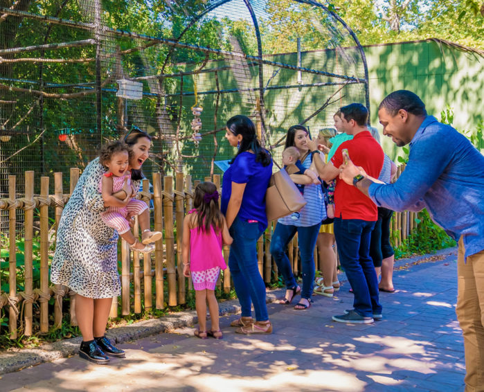 The Best Things to Do with Kids in Philadelphia - Visit Philadelphia