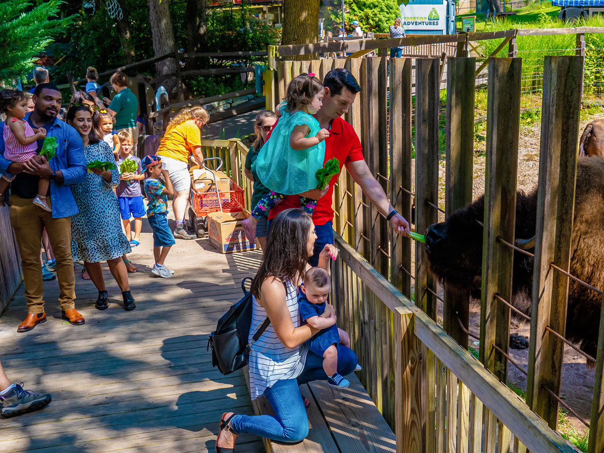 30 Can't-Miss Attractions in Philadelphia's Countryside — Visit ...