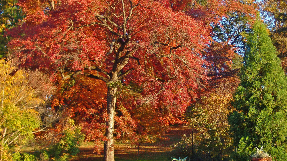 Top Spots to View Fall Foliage in Greater Philadelphia — Visit Philadelphia