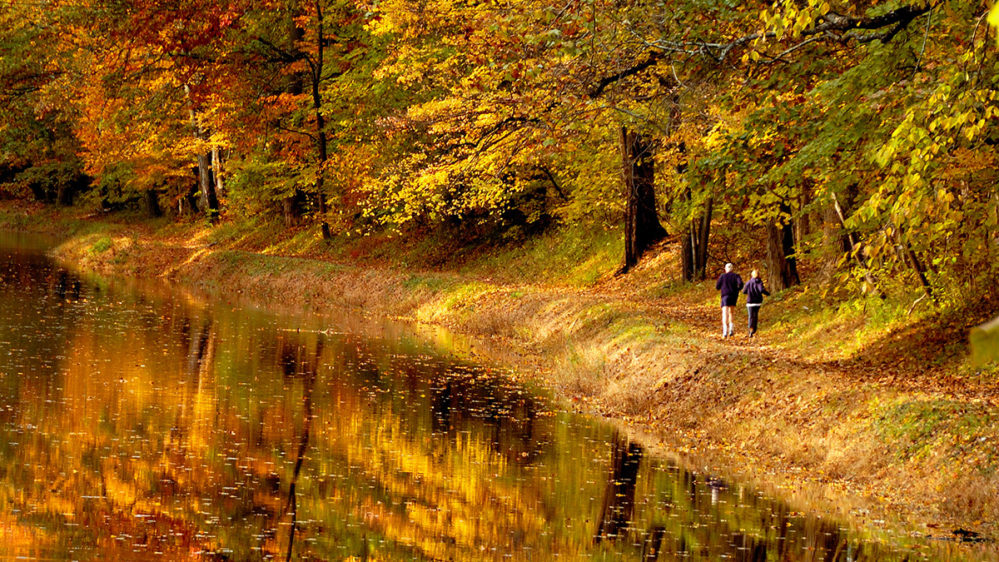 The Best Spots to View Fall Foliage in Greater Philadelphia | Visit ...