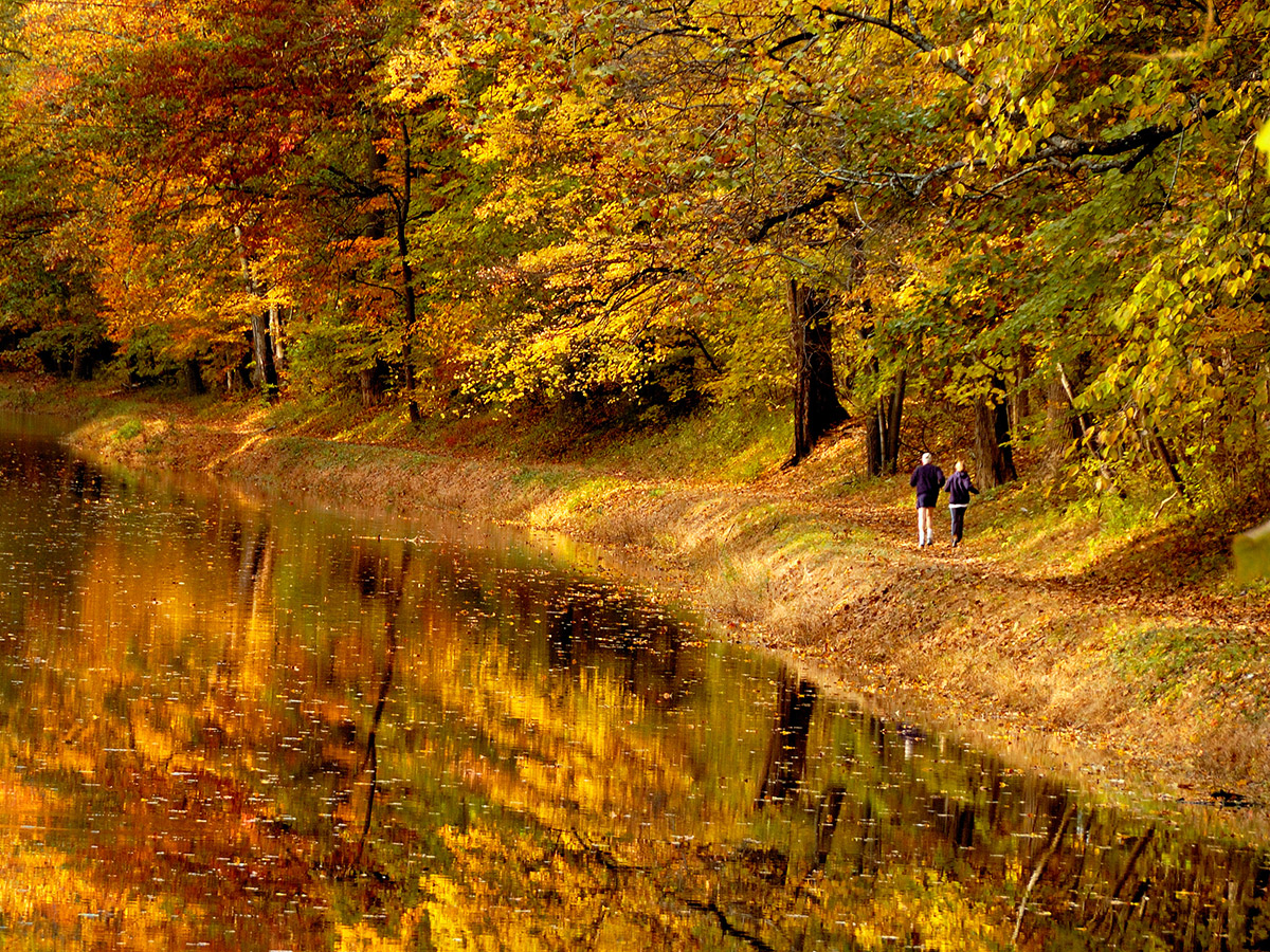 The Best Spots to View Fall Foliage in Greater Philadelphia | Visit ...