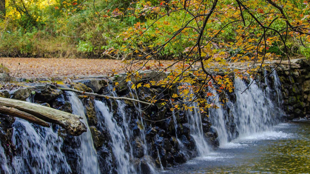 The 34 Best Spots to View Fall Foliage in Greater Philadelphia | Visit ...