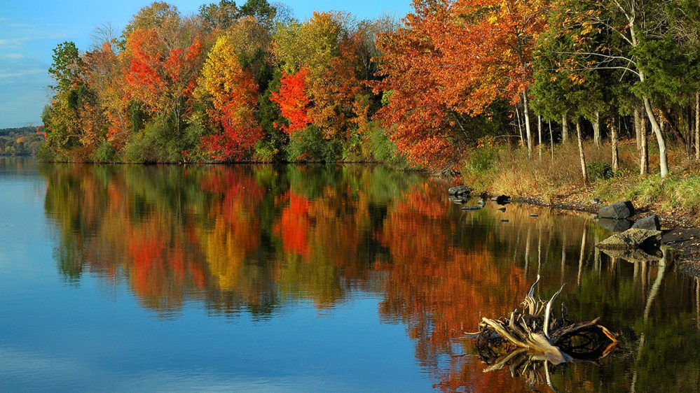 The 31 Best Spots to View Fall Foliage in Greater Philadelphia | Visit ...