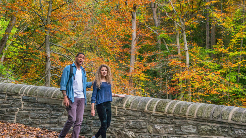 The Best Spots to View Fall Foliage in Greater Philadelphia | Visit ...