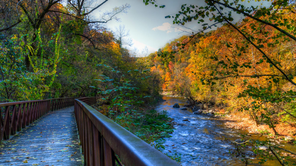 Top Spots to View Fall Foliage in Greater Philadelphia — Visit Philadelphia