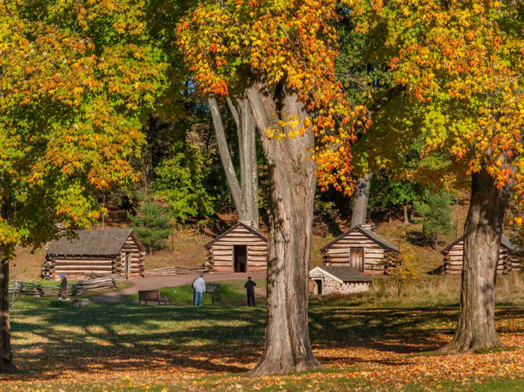 Top Spots to View Fall Foliage in Greater Philadelphia — Visit Philadelphia