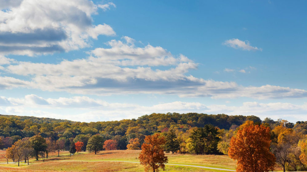 Where to Explore Indigenous Culture & History in Philadelphia | Visit ...