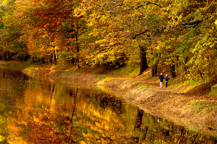 Best Running & Biking Trails In Philadelphia | Visit Philadelphia