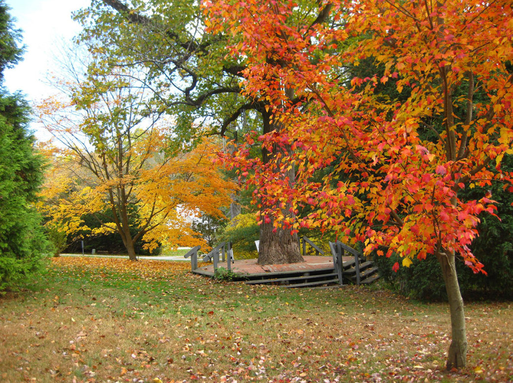 Top Spots to View Fall Foliage in Greater Philadelphia — Visit Philadelphia