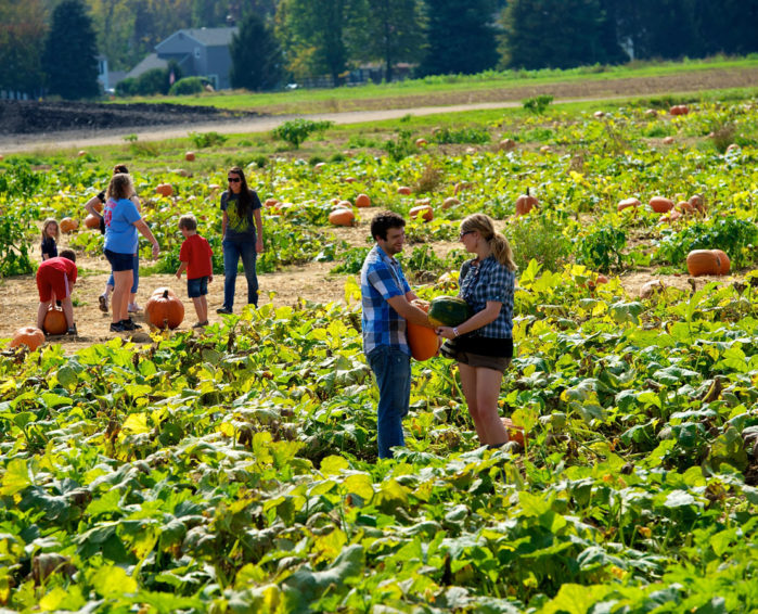 15 Farms & Attractions for Fall Fun in Greater Philadelphia – Visit ...