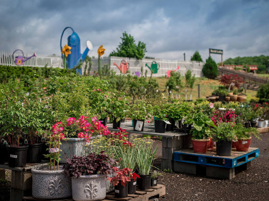 30 Can't-Miss Attractions in Philadelphia's Countryside — Visit ...