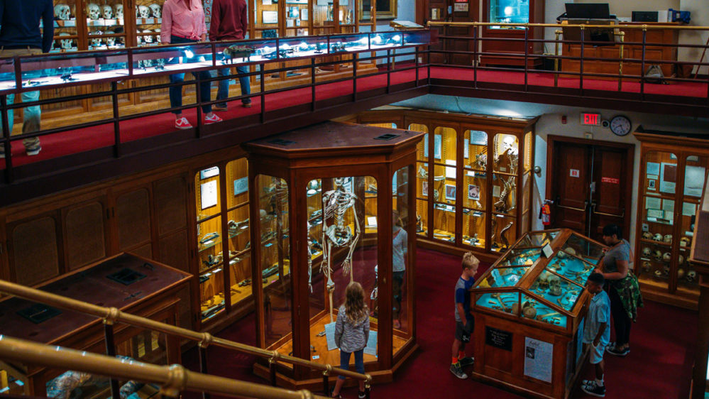 Free Museum Days Are Back for Welcome America 2023 | Visit Philadelphia