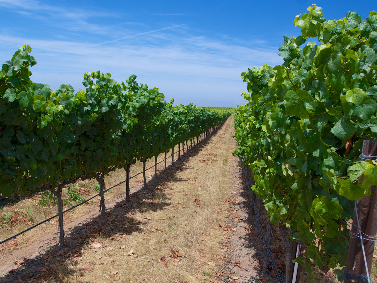 The Wineries and Vineyards Trail of Greater Philadelphia | Visit ...