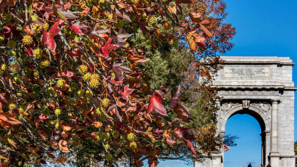 Top Spots to View Fall Foliage in Greater Philadelphia — Visit Philadelphia