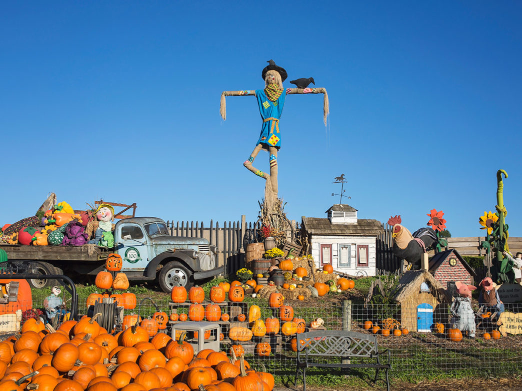 The Best Fall Harvest Festivals in Philadelphia 2020 – Visit Philadelphia