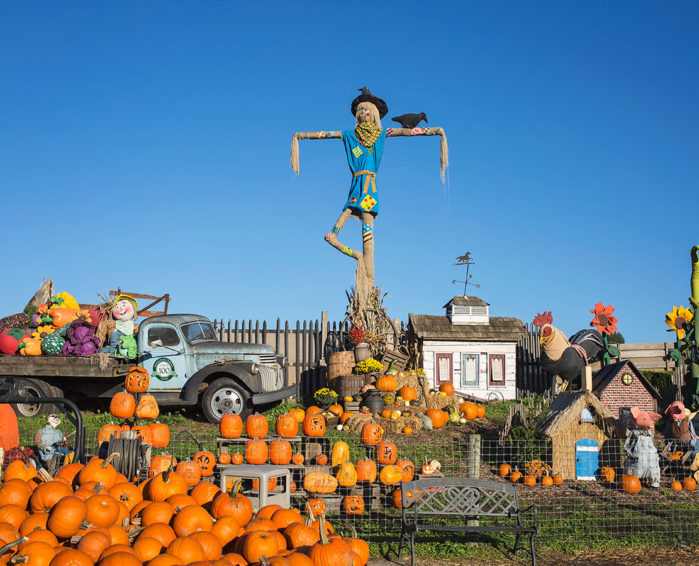 Top Events in Philadelphia's Countryside in Fall 2019