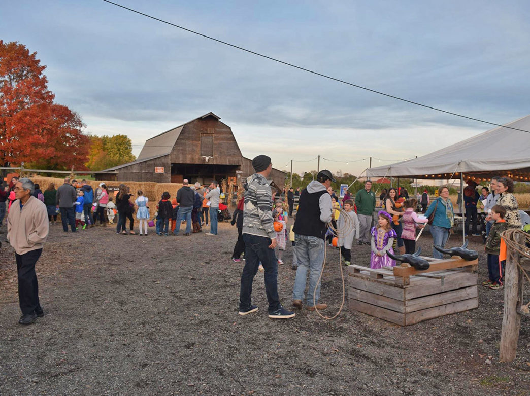 The Best Harvest Festivals in Philadelphia for Fall 2019 – Visit ...