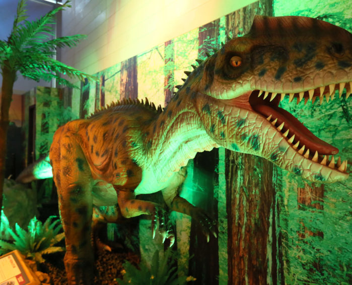 35 Must-See Exhibitions in Philadelphia for Winter 2020 | Visit ...