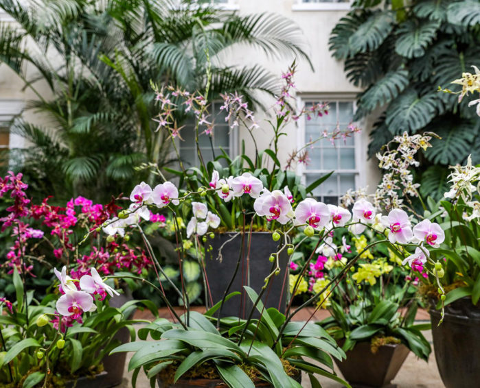 Things to Do in Philadelphia in January - Visit Philadelphia