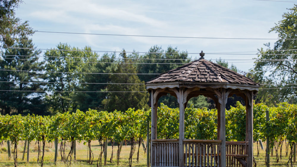 The Wineries and Vineyards Trail of Greater Philadelphia | Visit ...