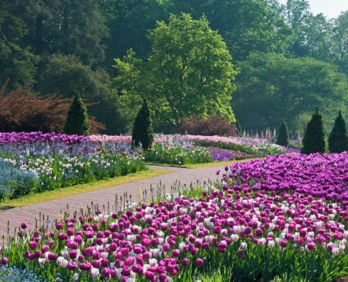 Awesome Things to Do in Philadelphia in Spring 2021 — Visit Philadelphia