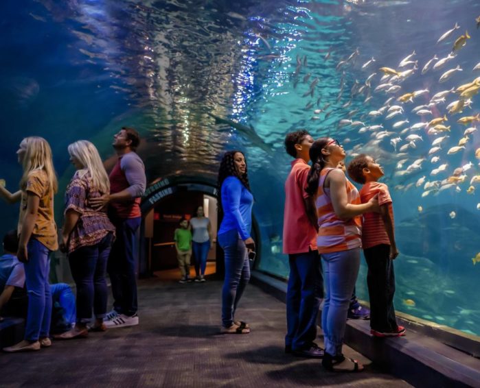 30+ Things to Do Along Greater Philadelphia's Delaware River Waterfront