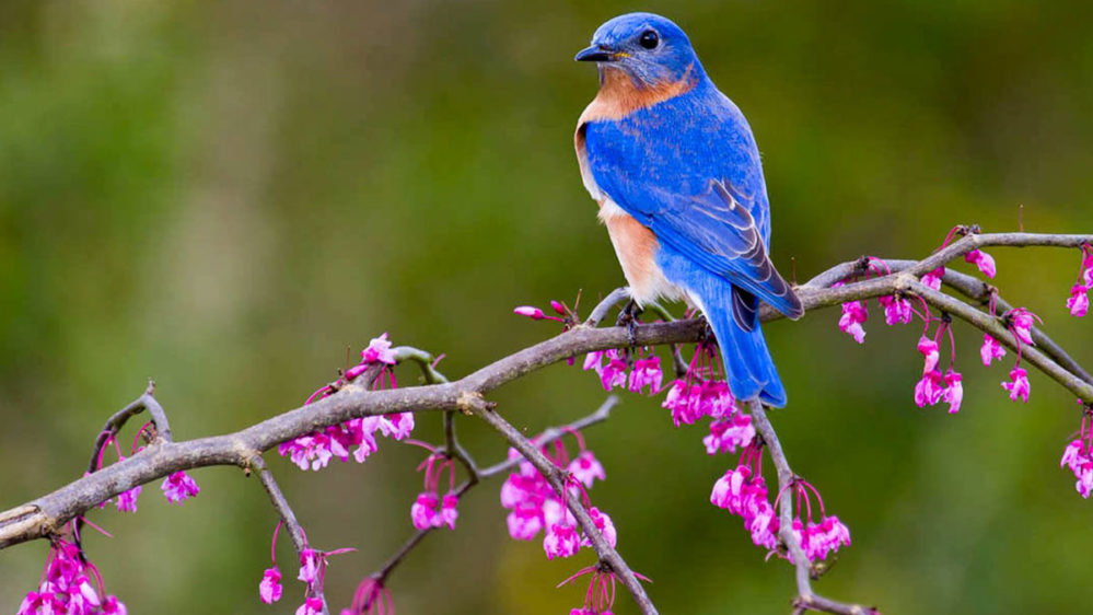 40 Great Day Trips from Philadelphia | Visit Philadelphia