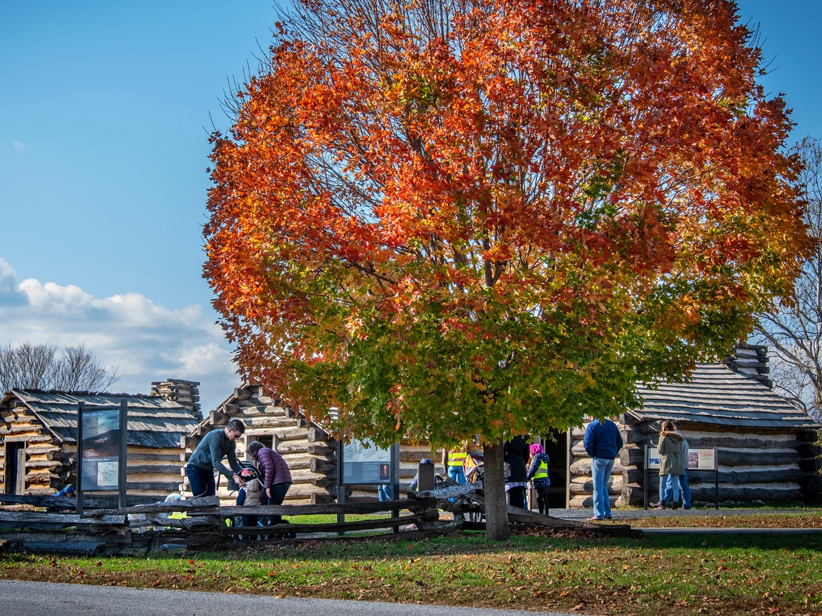 Four Fall Foliage Road Trips in Greater Philadelphia | Visit Philadelphia