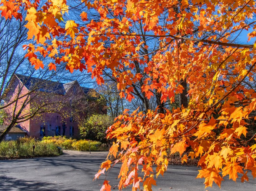 Four Fall Foliage Road Trips in Greater Philadelphia — Visit Philadelphia