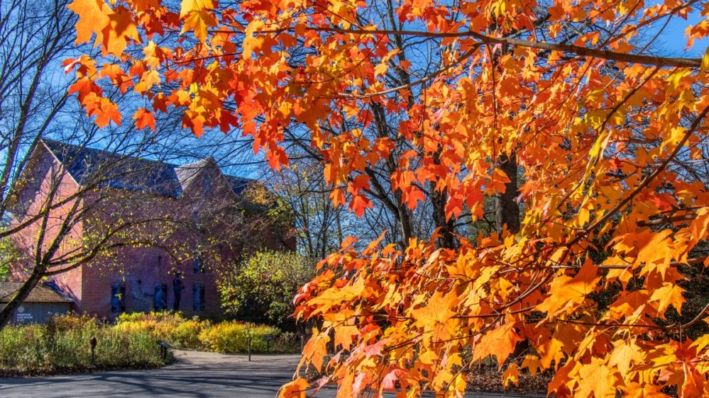 Four Fall Foliage Road Trips in Greater Philadelphia — Visit Philadelphia