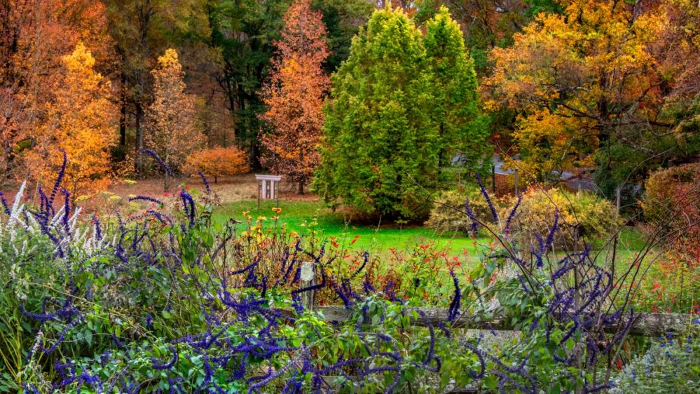 Four Fall Foliage Road Trips in Greater Philadelphia | Visit Philadelphia