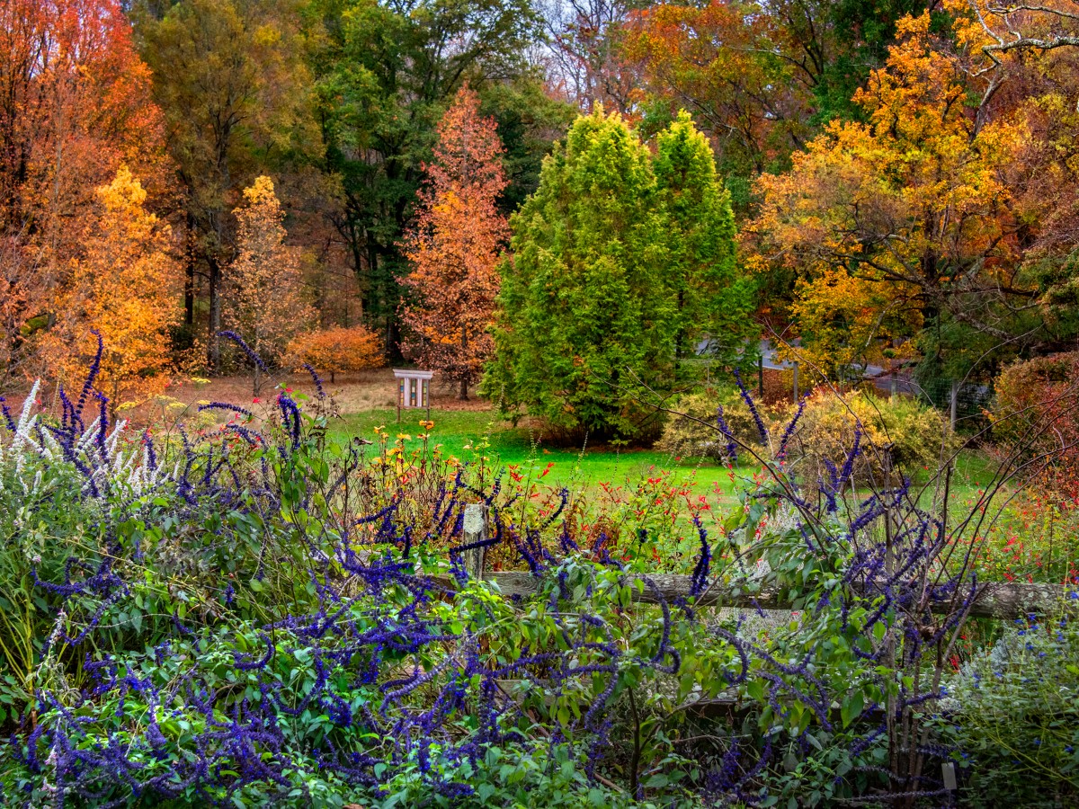 Four Fall Foliage Road Trips in Greater Philadelphia | Visit Philadelphia