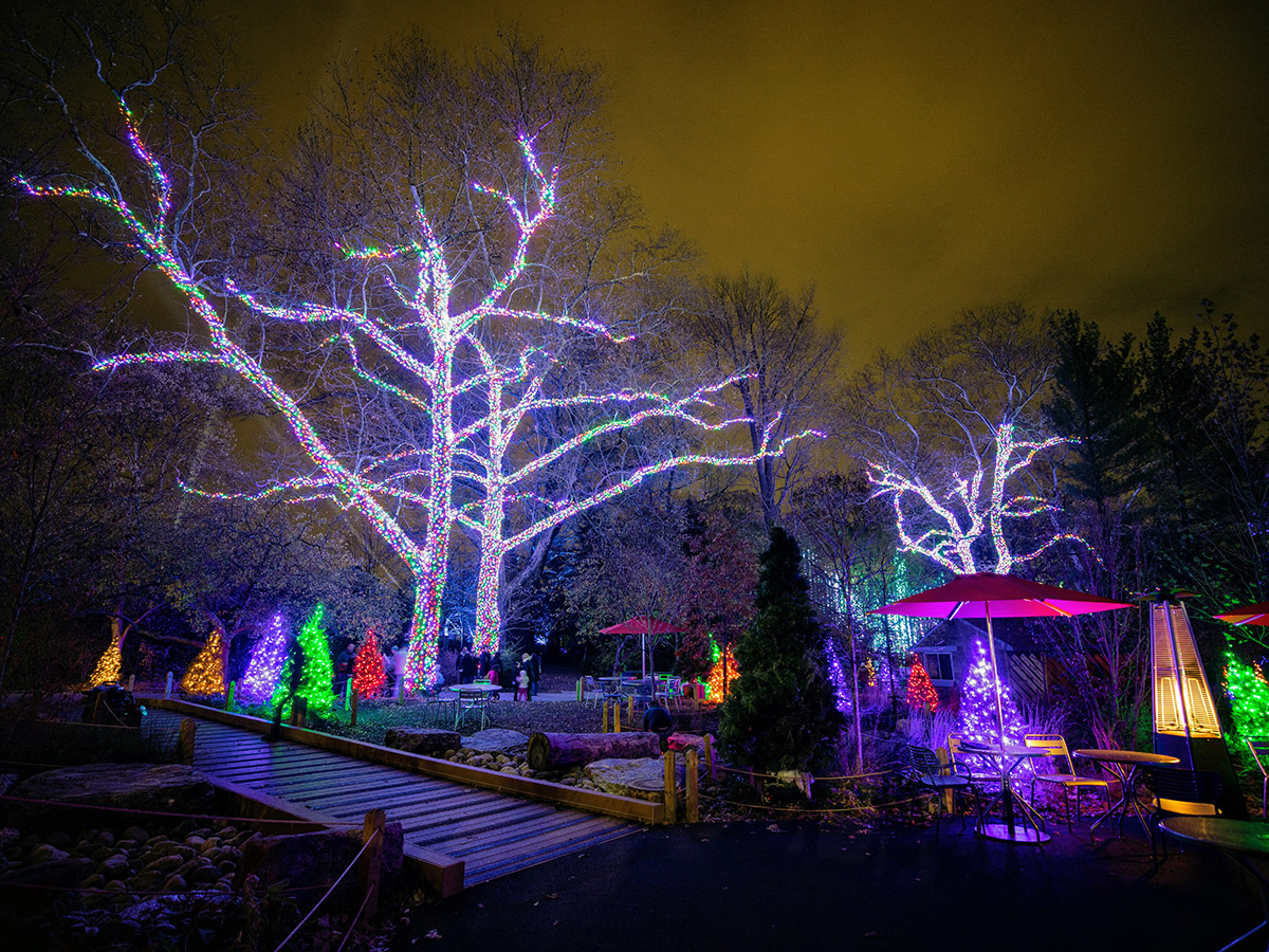 The Best Holiday Lights & Light Shows in Philly for 2021 — Visit ...