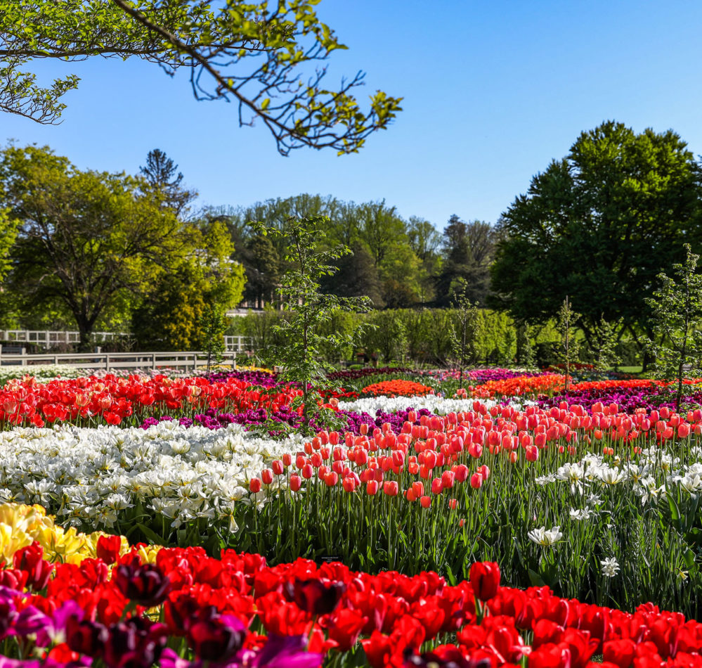 Chester County — Visit Philadelphia