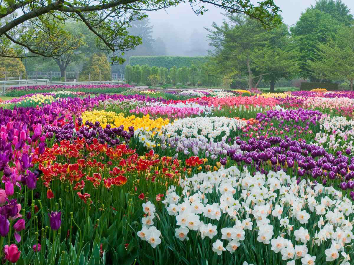 The Coolest Exhibitions at Philly Museums in Spring 2021 | Visit ...