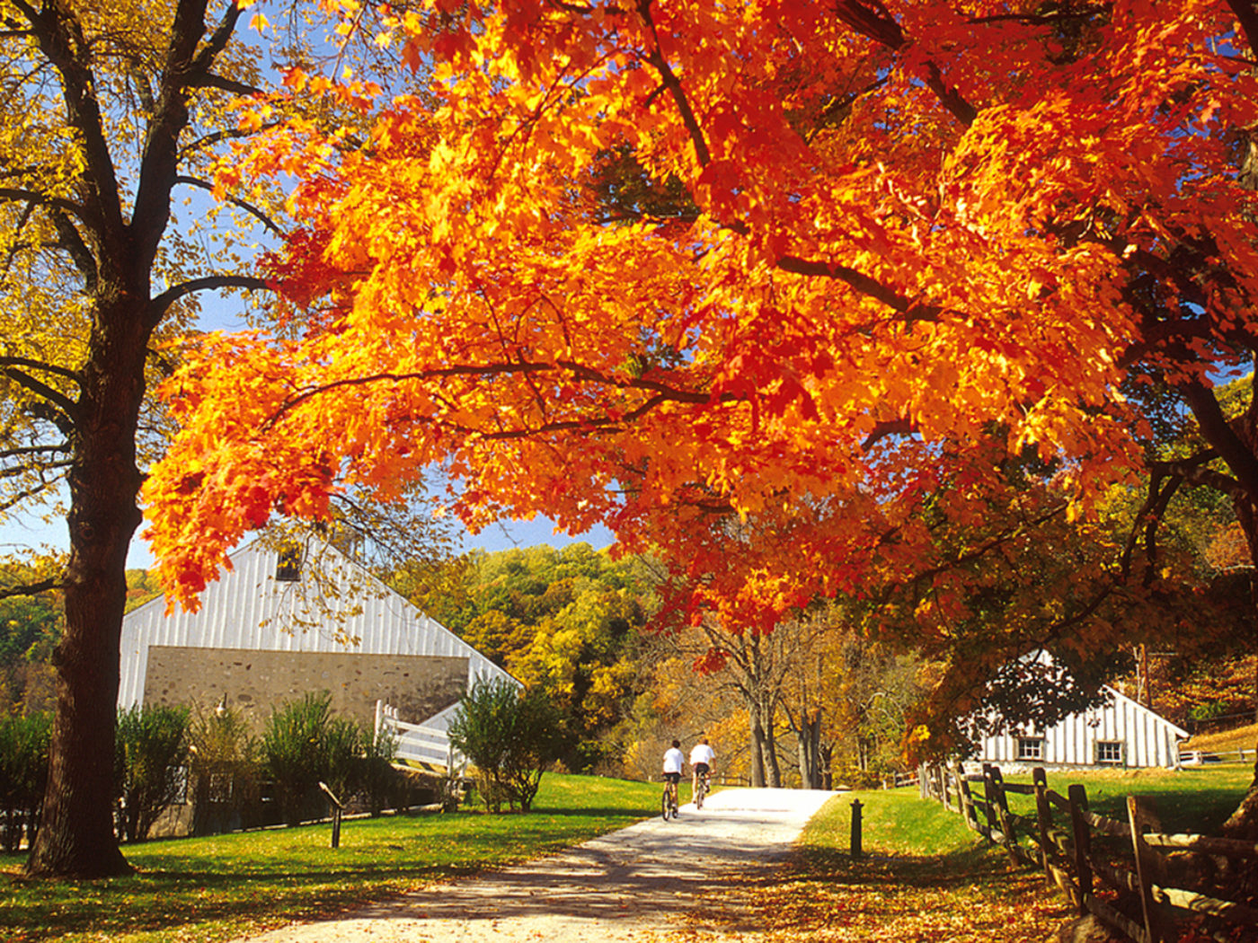 Only-In-Philly Events & Exhibits Await Visitors To Greater Philadelphia ...