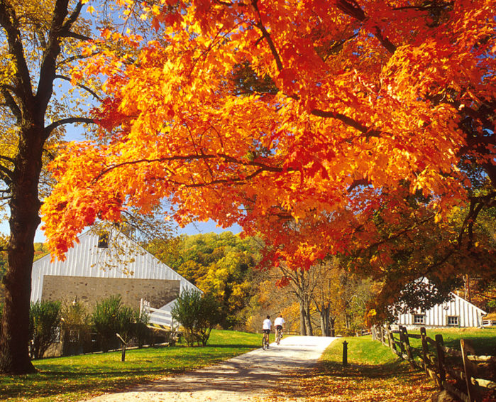 Only-In-Philly Events & Exhibits Await Visitors To Greater Philadelphia ...