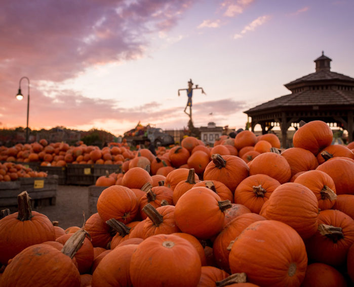 Top Things to Do in Philadelphia in November 2022 — Visit Philadelphia