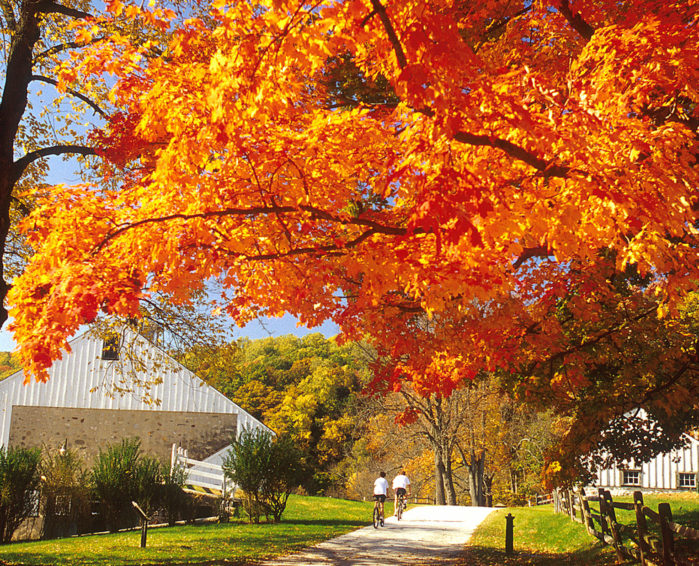 Top Spots to View Fall Foliage in Greater Philadelphia — Visit Philadelphia