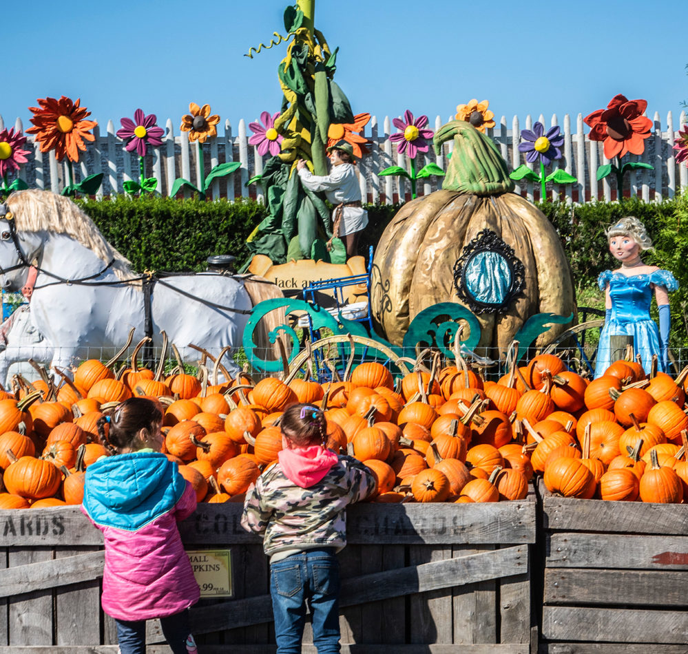 15 Farms & Attractions for Fall Fun in Greater Philadelphia – Visit ...