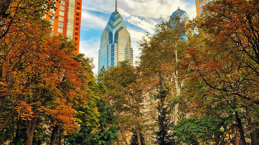 Top Spots to View Fall Foliage in Greater Philadelphia — Visit Philadelphia