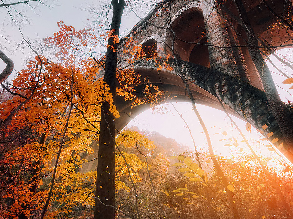 The 31 Best Spots to View Fall Foliage in Greater Philadelphia | Visit ...