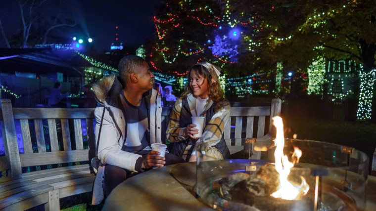 2023 Philly Holiday Experience: Lights, Parade & Free Museum Days ...